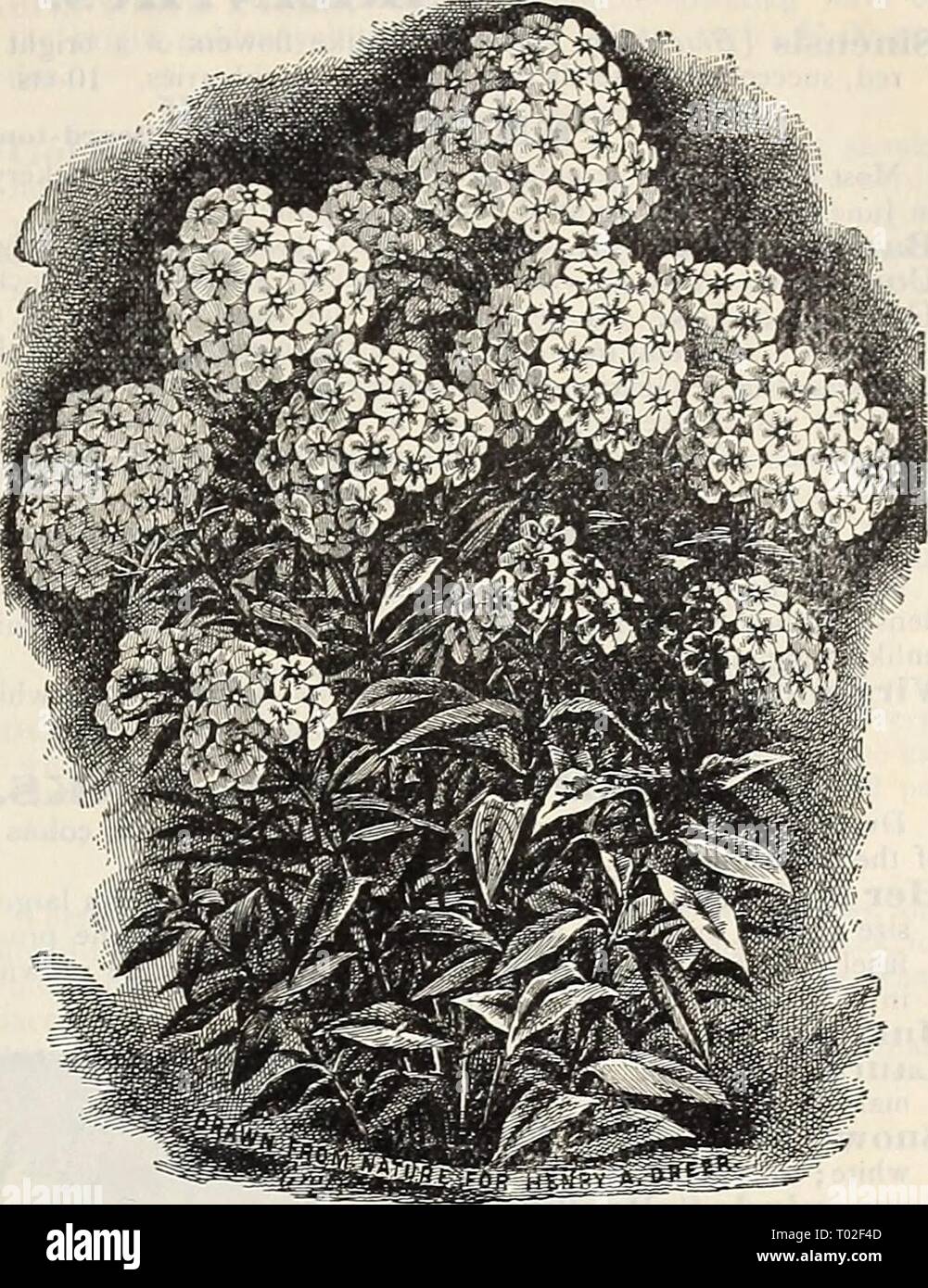 Haroy hi-res stock photography and images - Alamy