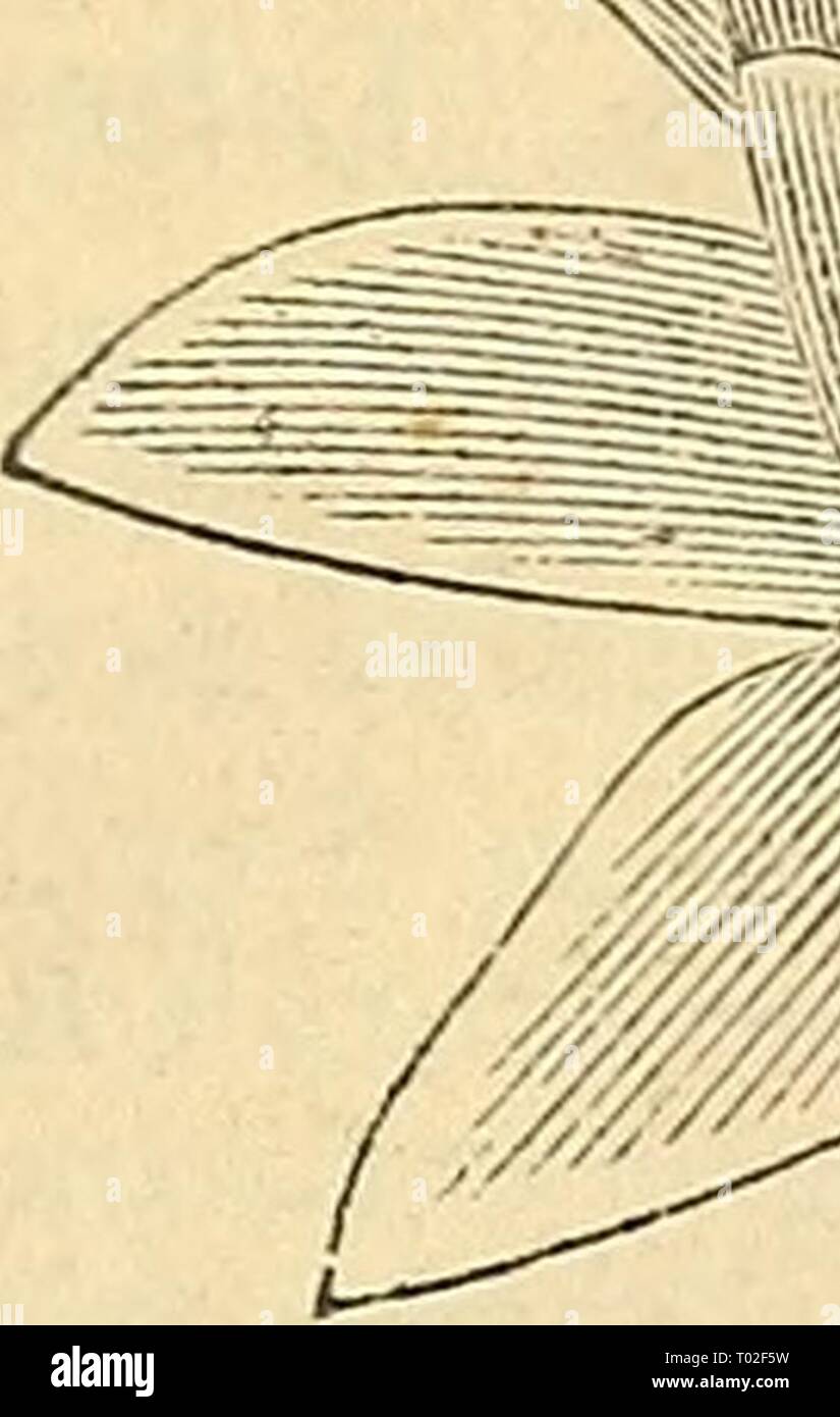 Calendar for year 1878 hi-res stock photography and images - Alamy