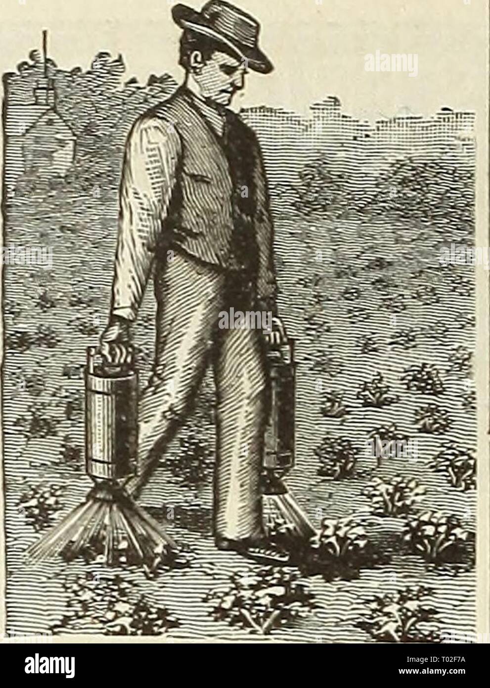Dreer's garden calendar (1890 Stock Photo - Alamy