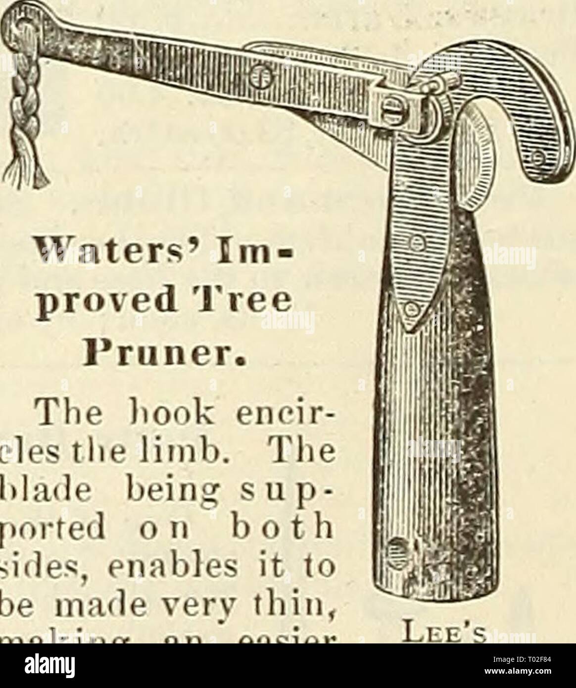 Extra limb illustration hi-res stock photography and images - Alamy