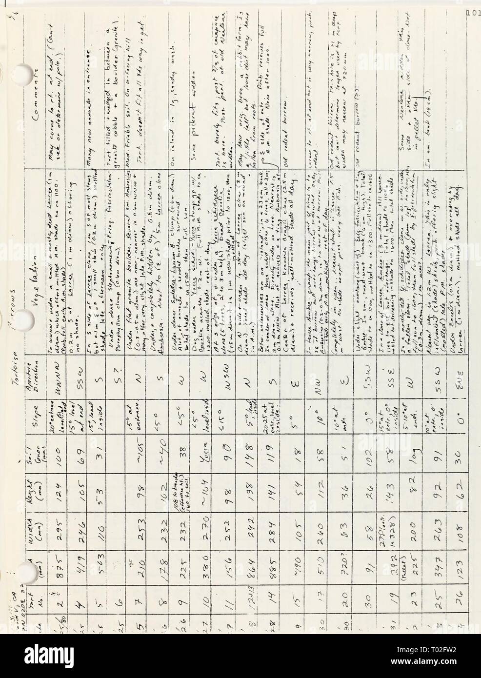 Ecology of a population of desert tortoises, Gopherus agassizi, in Ward ...