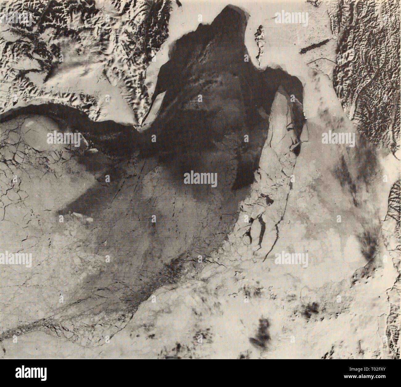The Eastern Bering Sea Shelf : oceanography and resources / edited by ...