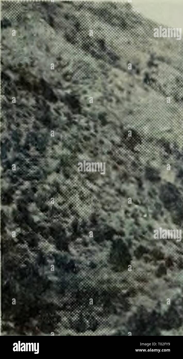 The effects of water development Stock Photo - Alamy