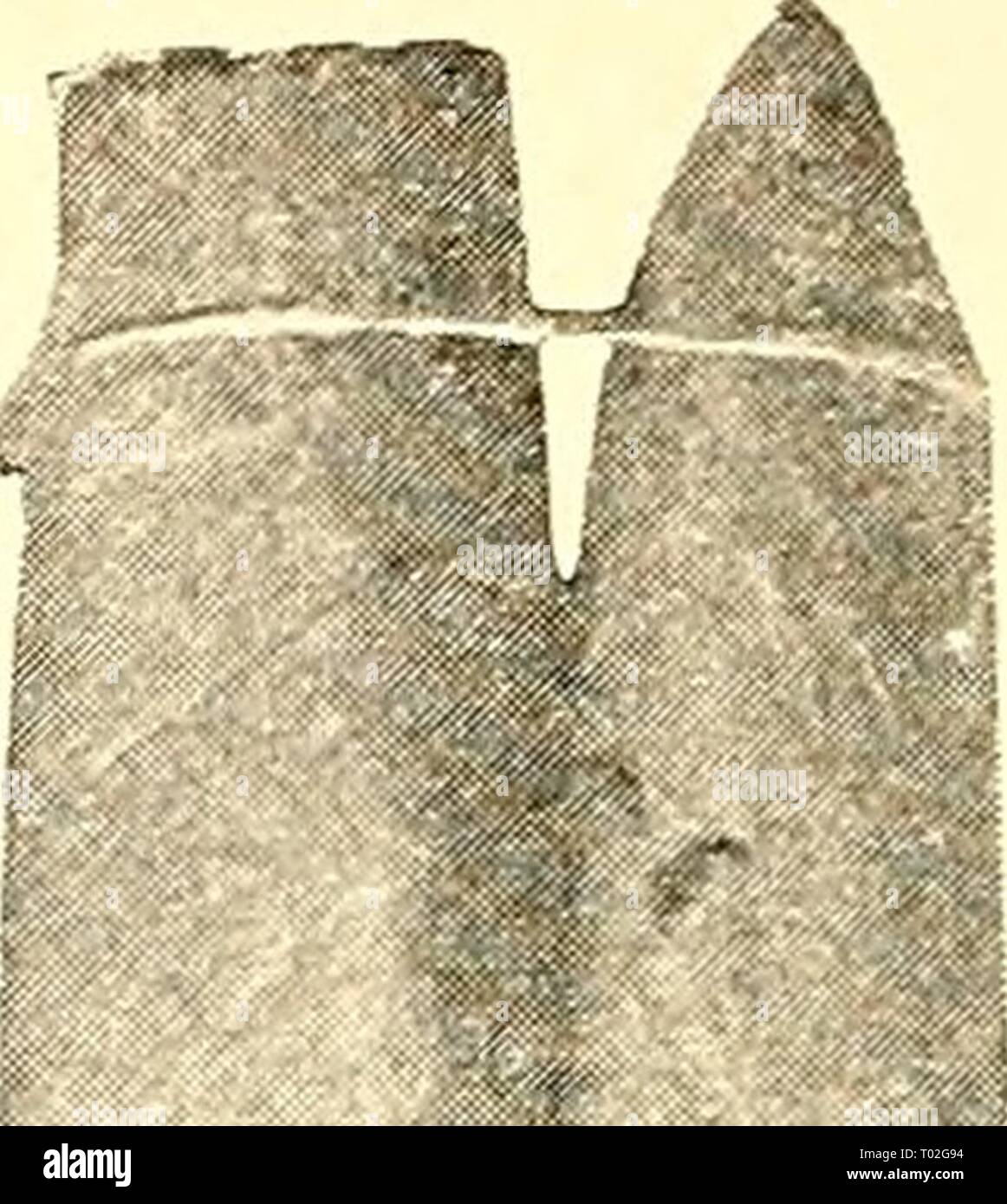 Economic entomology for the farmer and fruit-grower [microform] : and for use as a text-book in ...