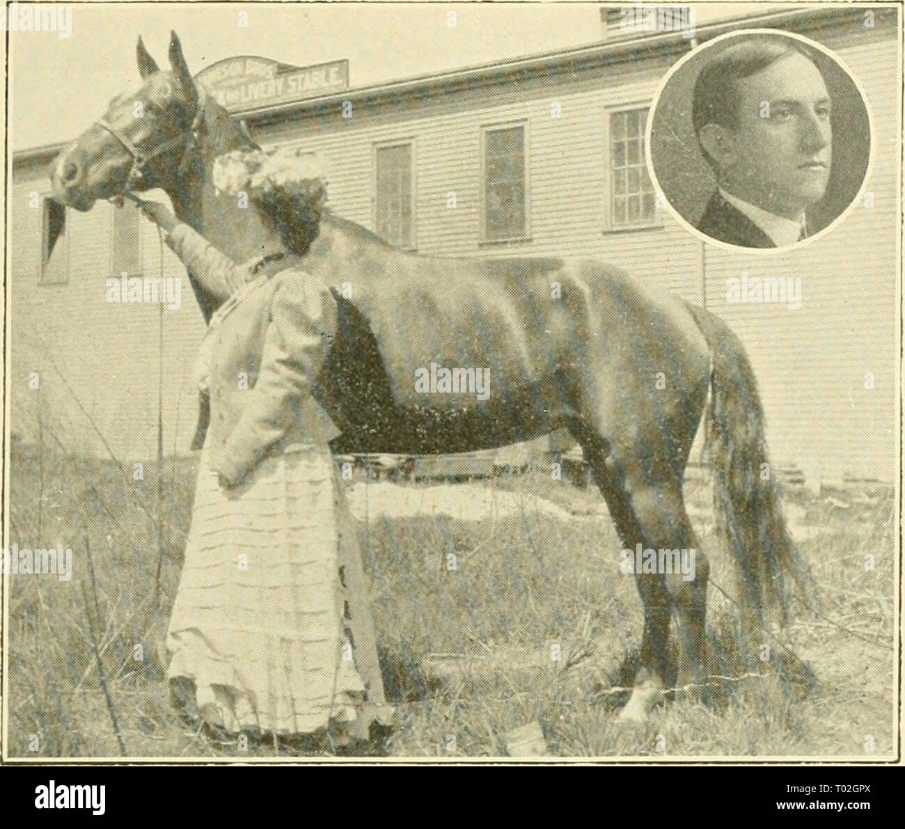 The driving clubs of greater Stock Photo - Alamy