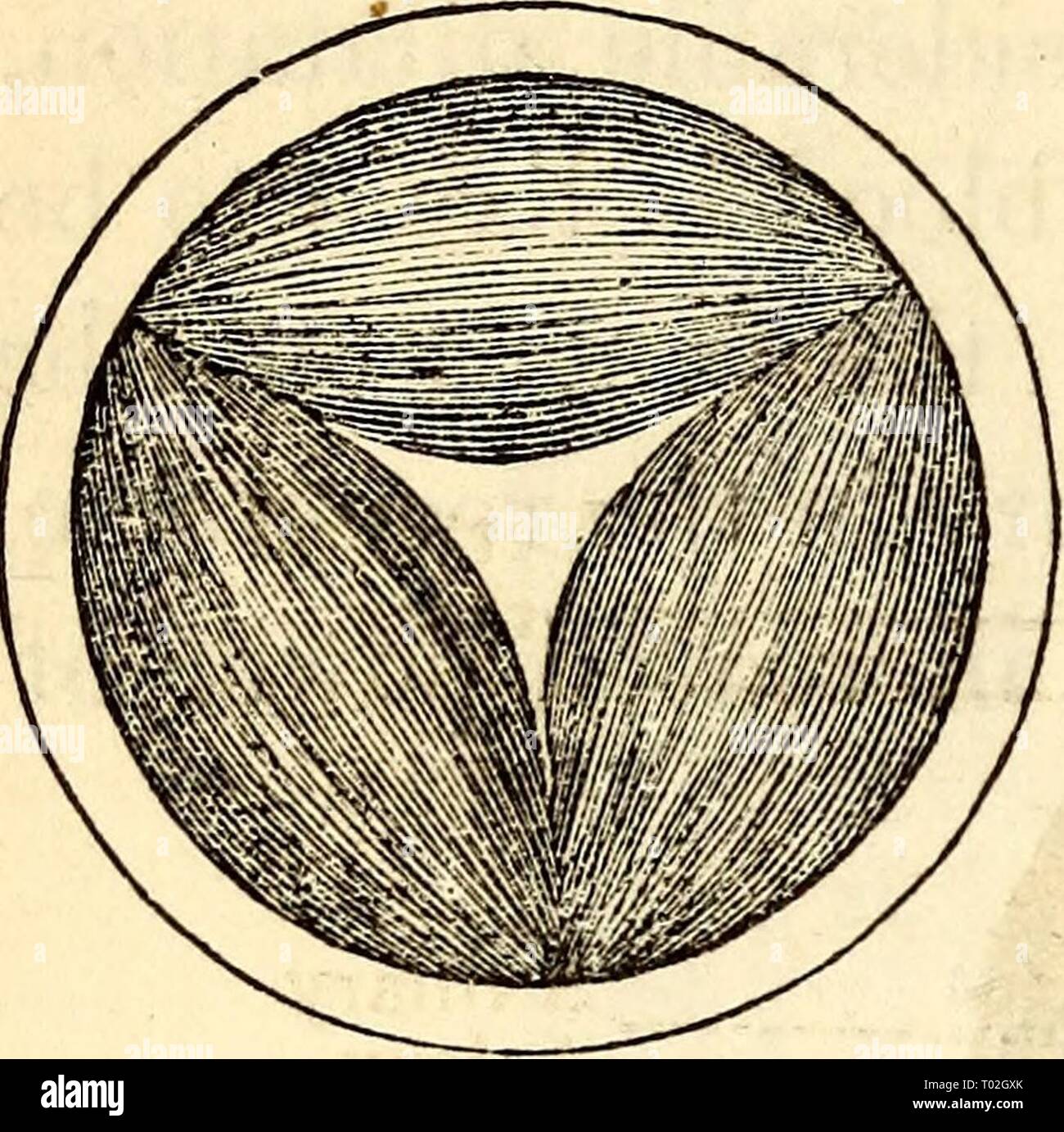 Outward motion hi-res stock photography and images - Alamy