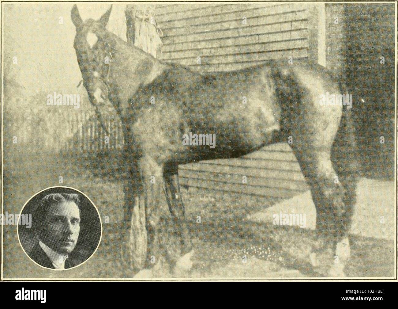 The driving clubs of greater Stock Photo - Alamy