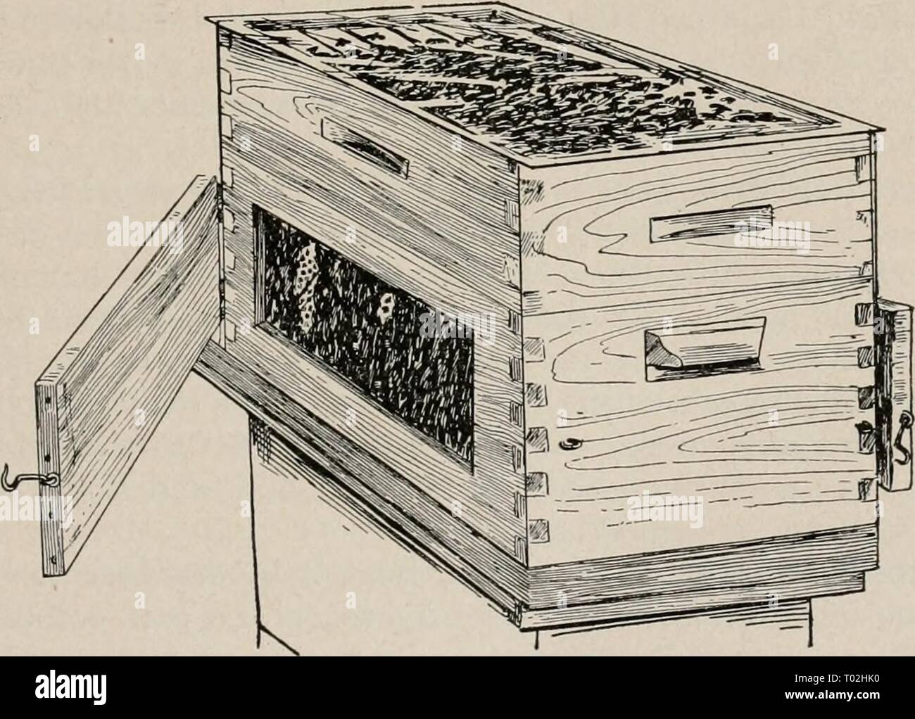 Observation hive hi-res stock photography and images - Alamy