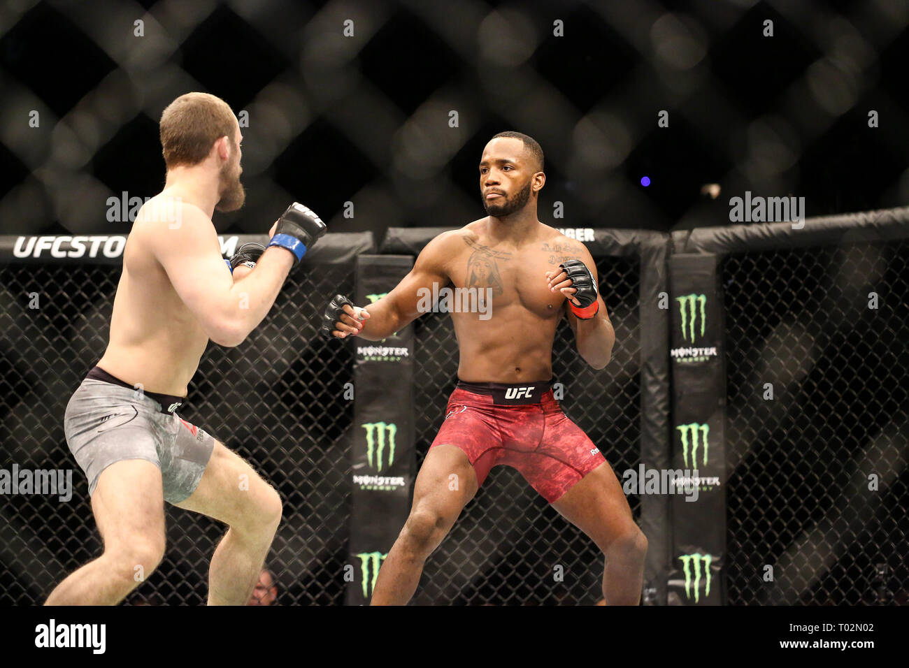 Leon cooke hi-res stock photography and images - Alamy