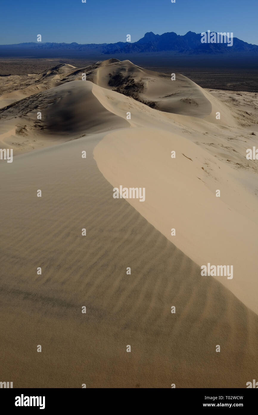 Mojave National Preserve, California, USA. 16th Mar, 2019. Kelso Dunes ...