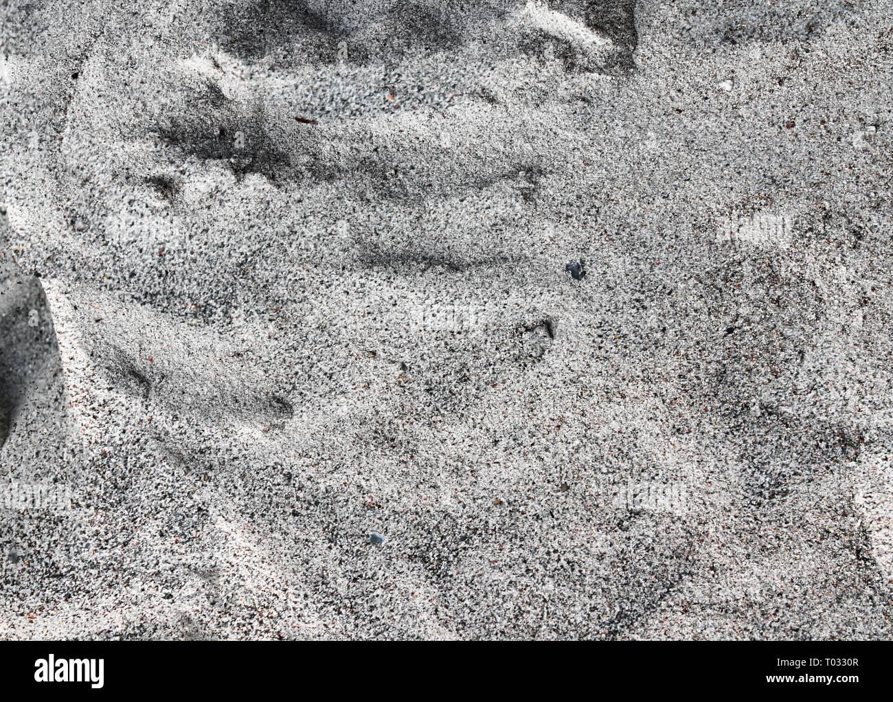 Close up of surface of sand at the baltic sea beach in high resolution ...