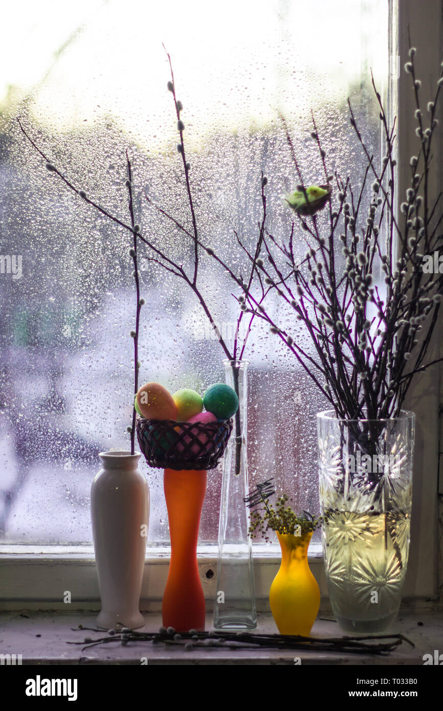 Willow branch. Bush blooming in the spring. Happy Easter. Plant and ...