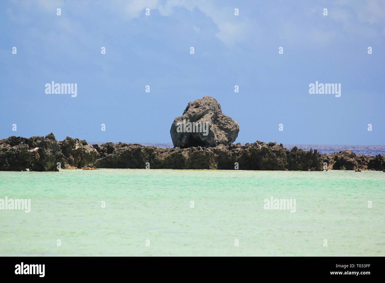 Rota corals hi-res stock photography and images - Alamy