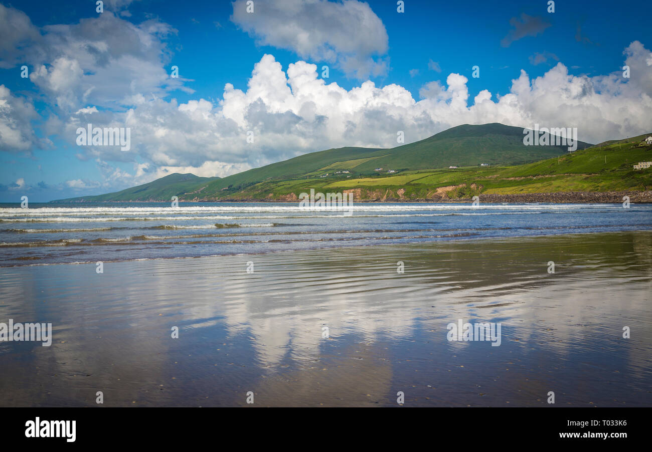walk at the sandybeach at Inch Beach, Dingle Peninsula, Co Kerry ...