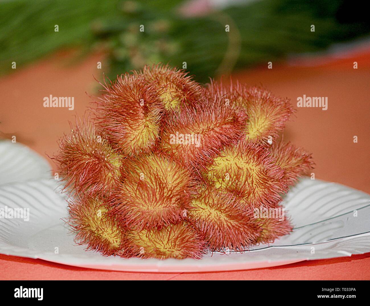 Atsuwete hi-res stock photography and images - Alamy
