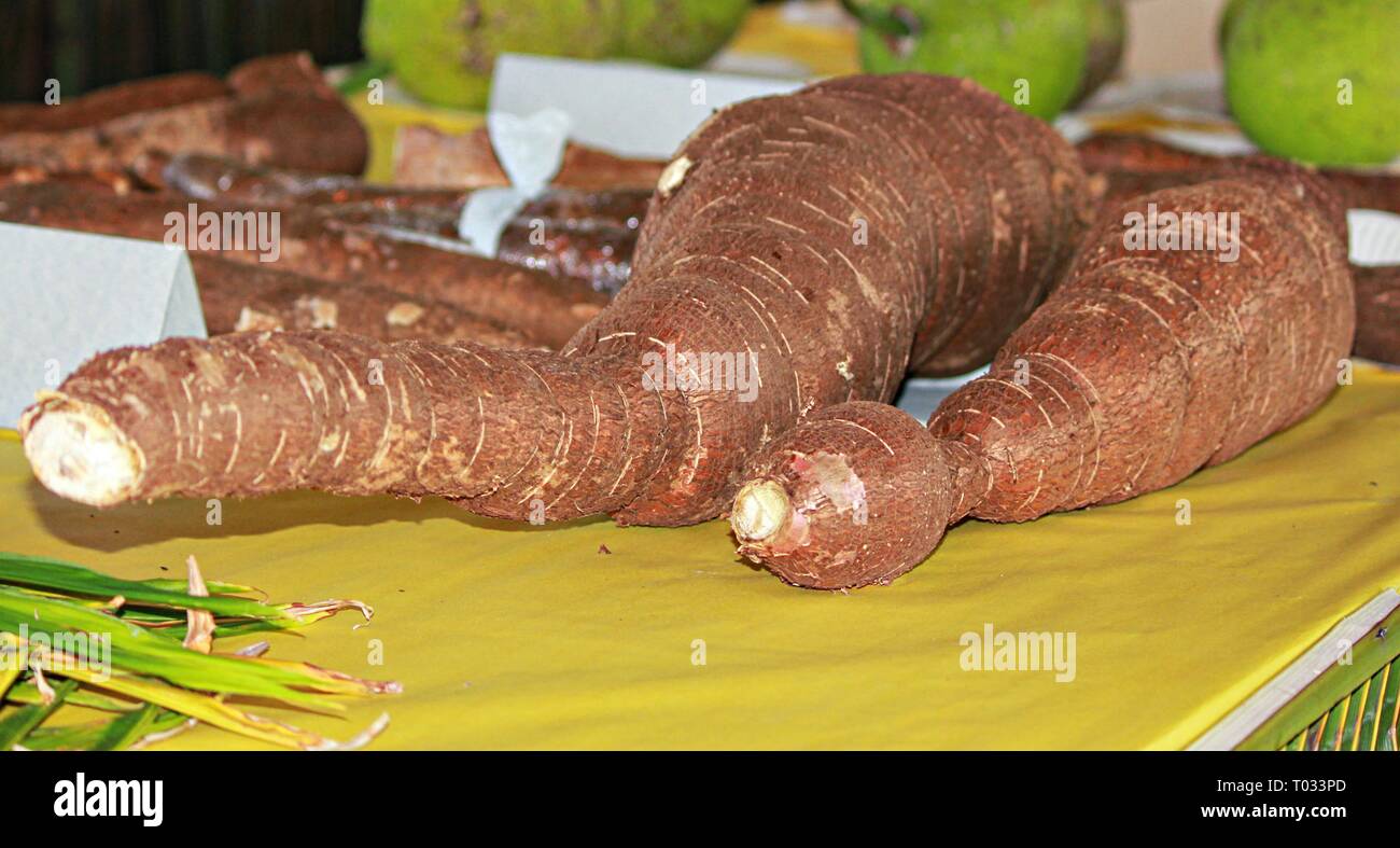 Gabi Vegetable High Resolution Stock Photography and Images - Alamy