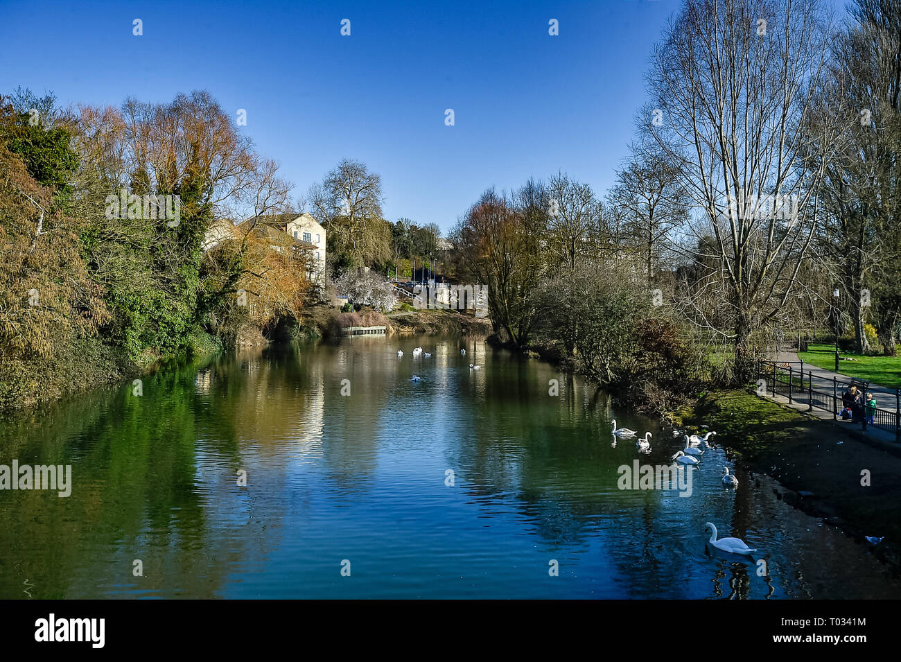 Chippenham High Resolution Stock Photography and Images - Alamy