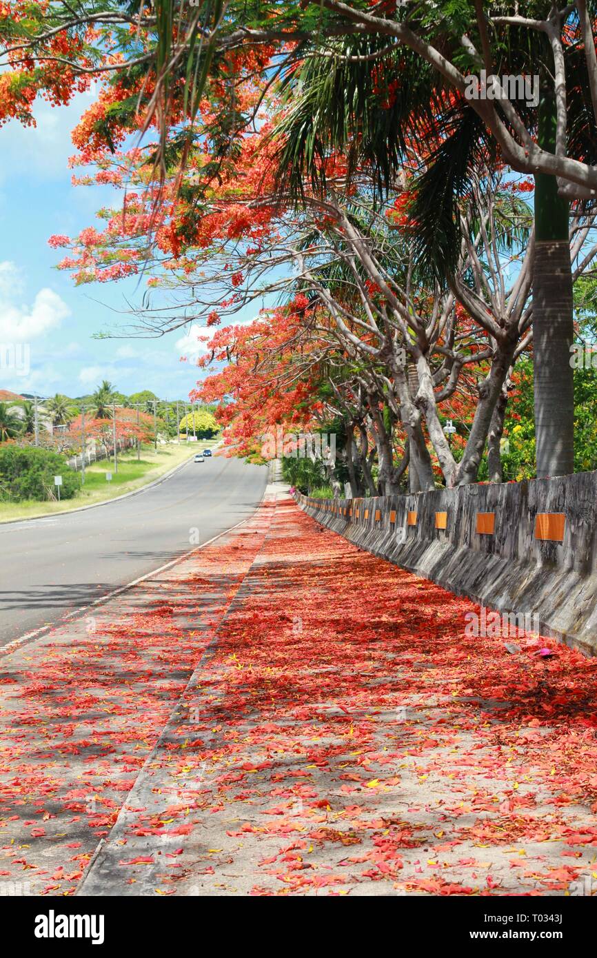 Saipan attraction hi-res stock photography and images - Alamy