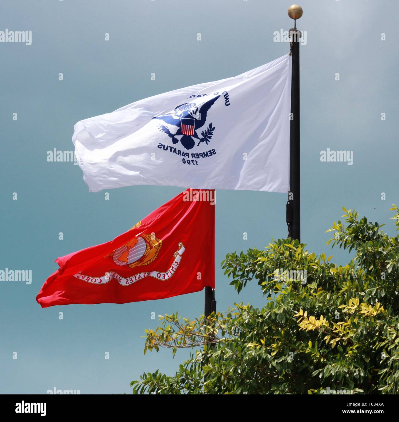 United States Coast Guard and United States Marine Corps flags waving ...