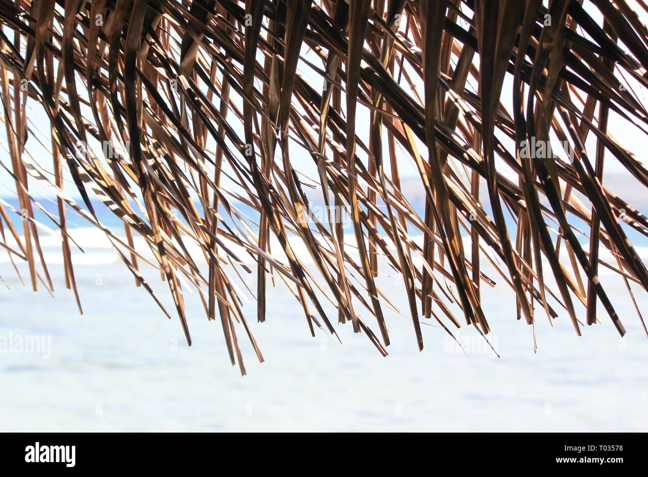 Coconut leaf roofing hi-res stock photography and images - Alamy