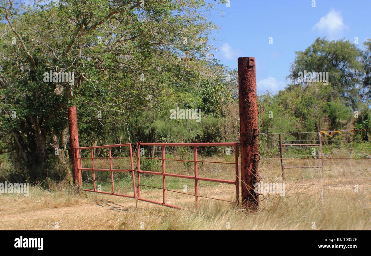 Old iron and steel farm gate with rusty steel posts Stock Photo - Alamy