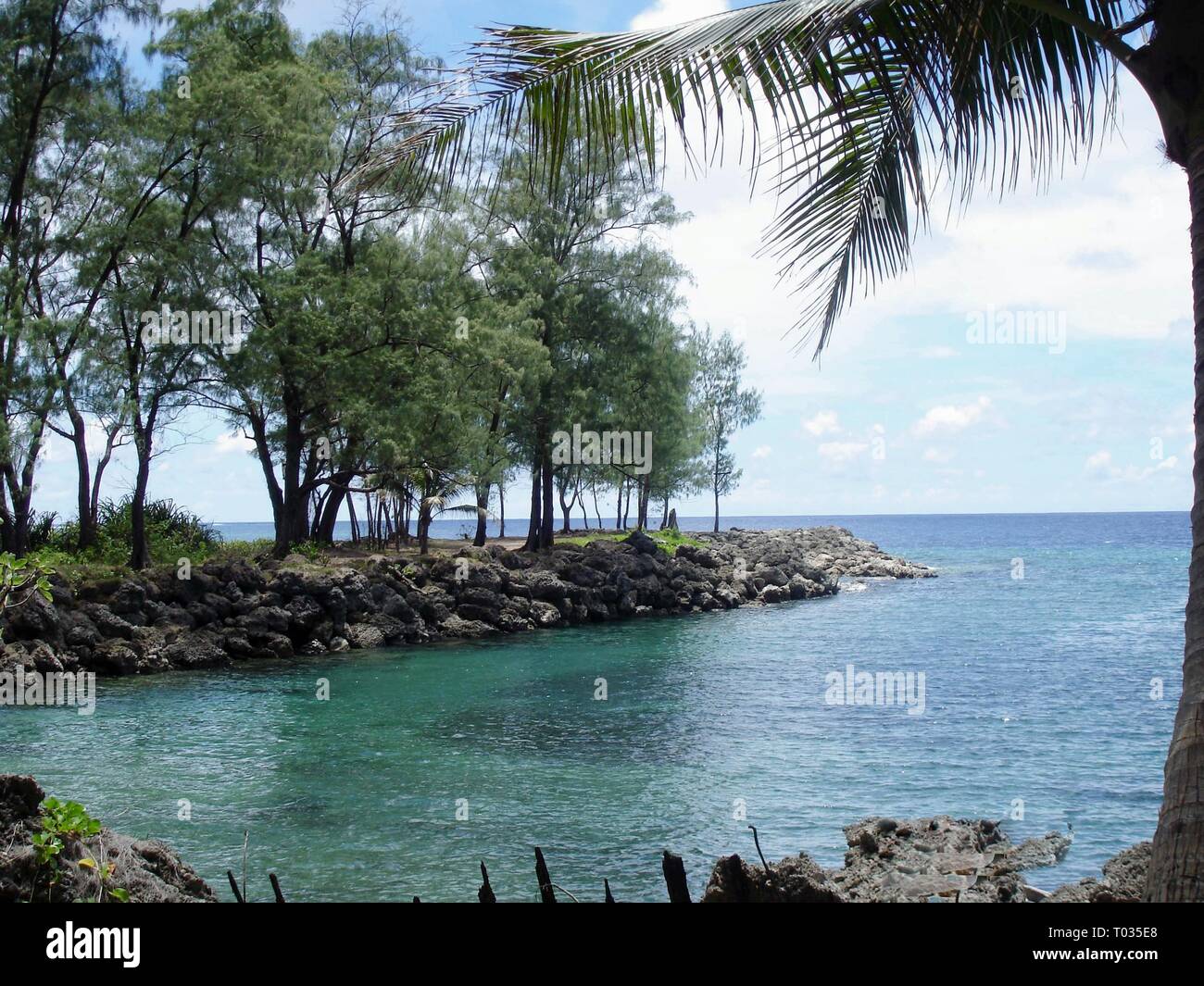 Coastal view of a small cove with trees and clear blue waters of the ...