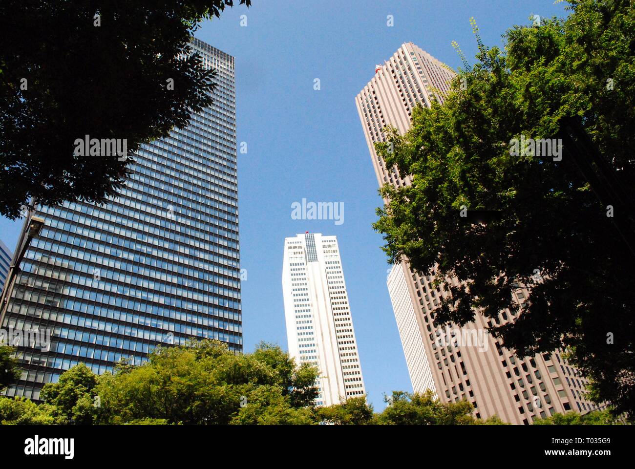 Tall buildings towering over trees in Tokyo, Japan Stock Photo - Alamy