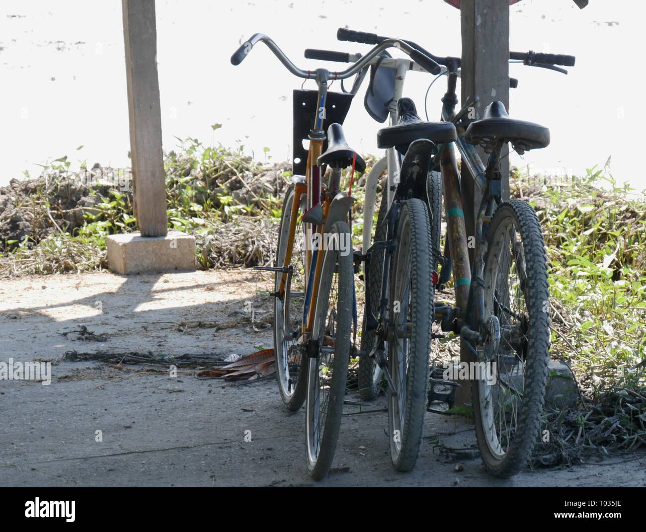Three bicycles leaning against a wooden post in an outdoors structure ...