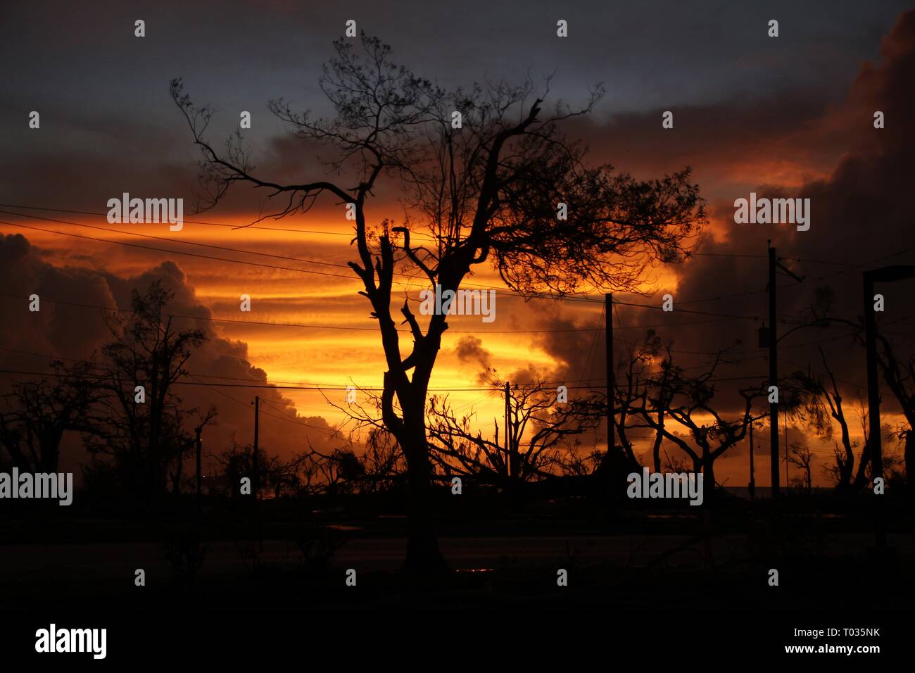 Fiery sunset amid the chaos and devastation left by a typhoon in a ...