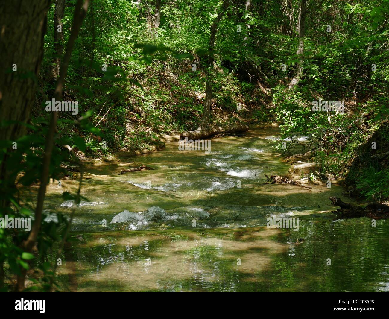 Cool stream creating ripples in the water surrounded by a lush jungle ...