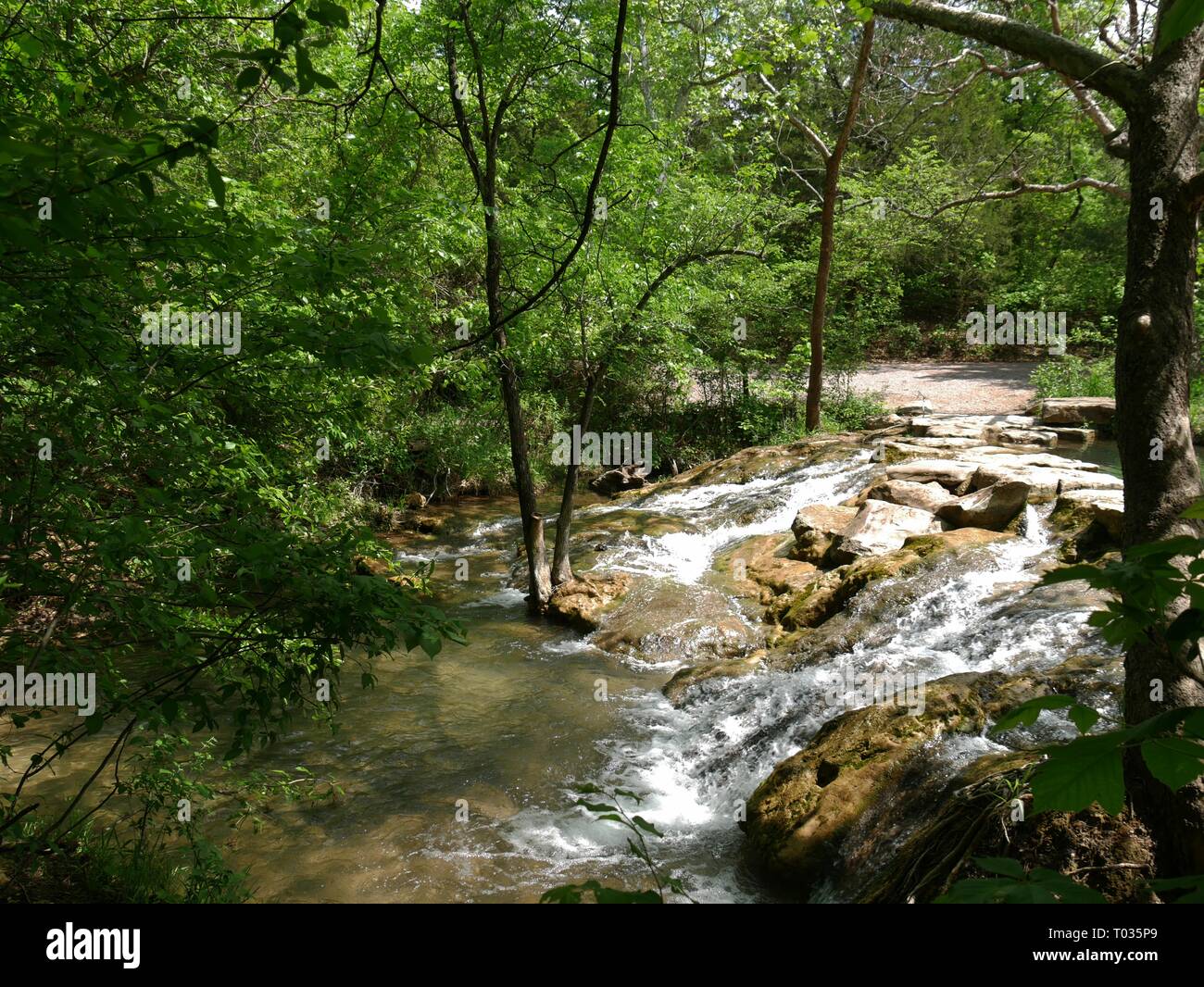 Fresh cool water flowing in a stream in a lush jungle Stock Photo - Alamy