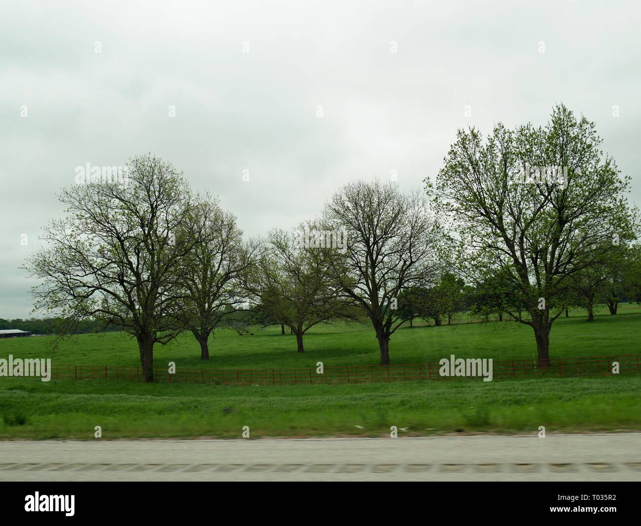 Row of trees at the roadside hi-res stock photography and images - Alamy