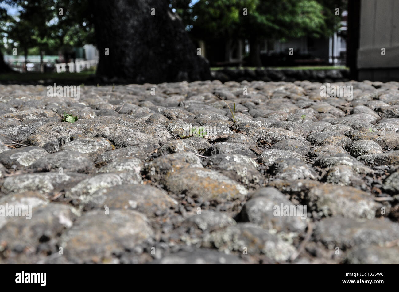 Cobblestones Village Museum, Greytown, New Zealand. Early settlers ...