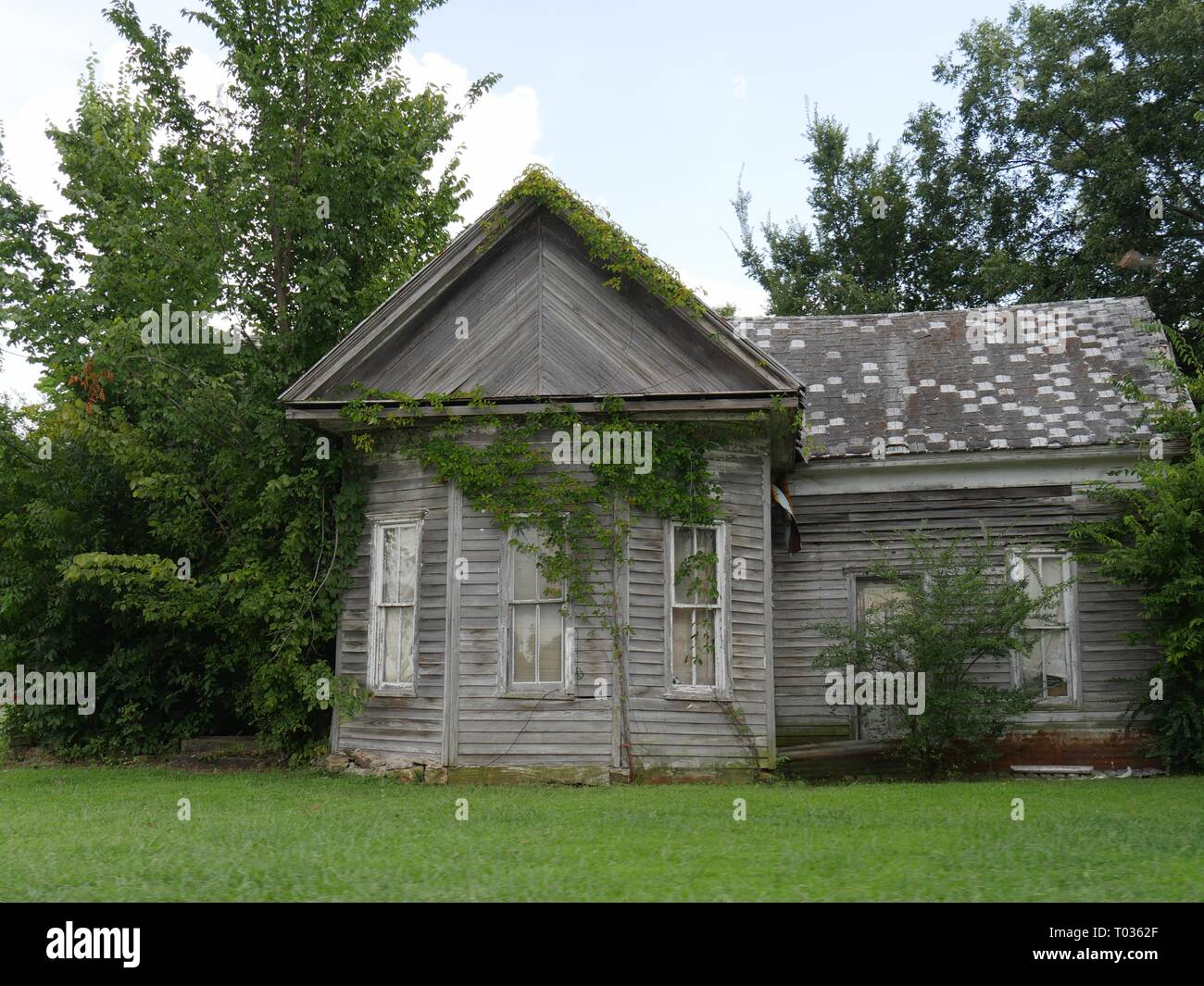 Neglected creeping hi-res stock photography and images - Alamy
