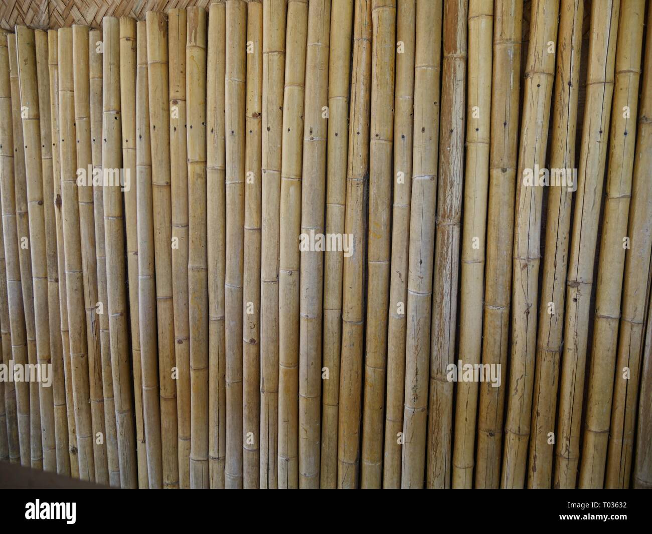 Bamboo posts hi-res stock photography and images - Alamy