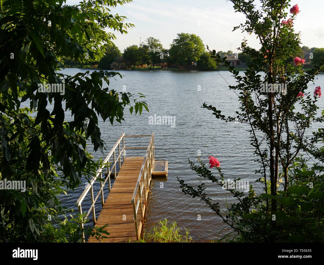 Wooden dock with railings in a pond on a beautiful spring day Stock ...