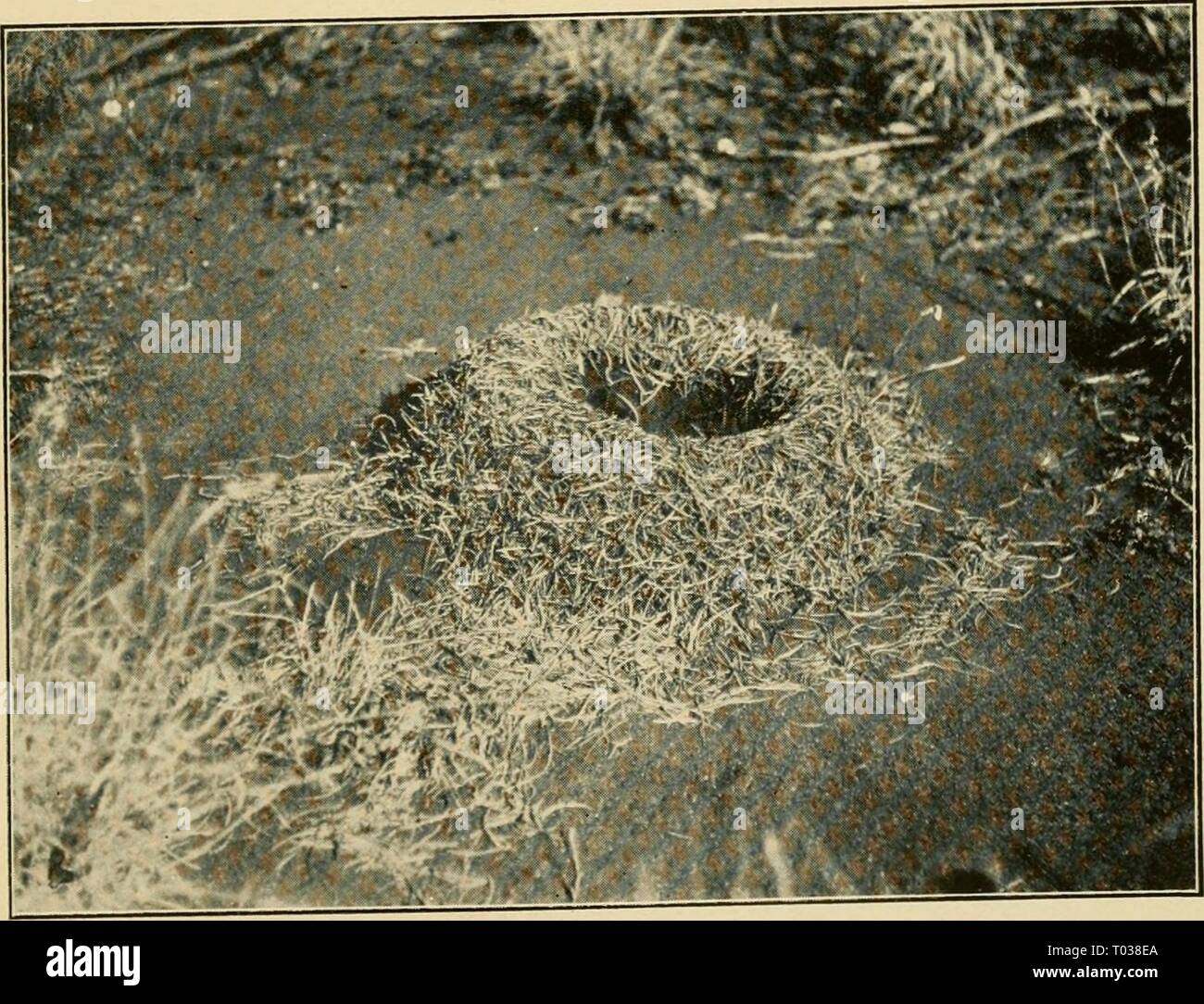 The everard ranges hi-res stock photography and images - Alamy