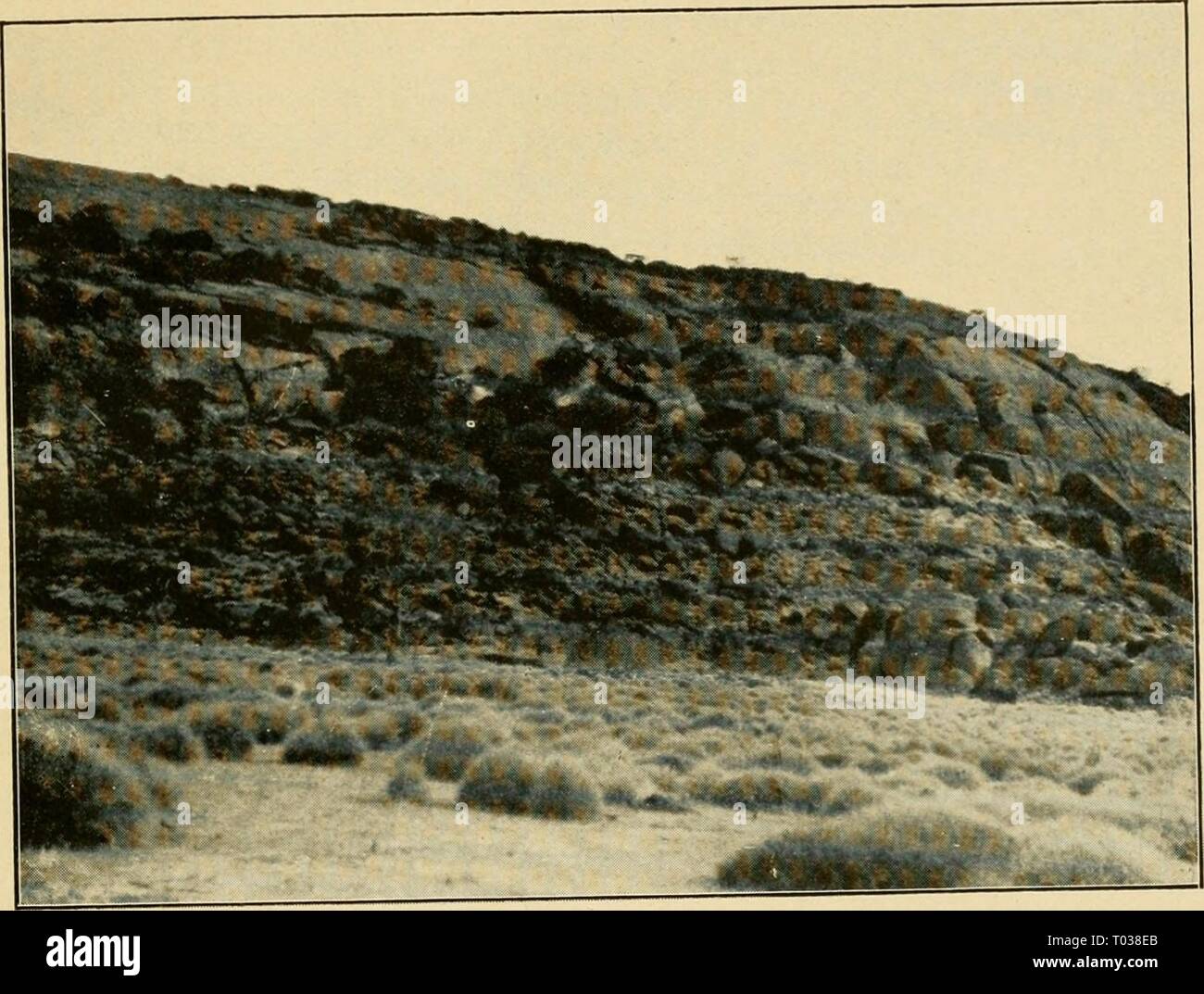 The Emu : official organ of the Australasian Ornithologists' Union ...