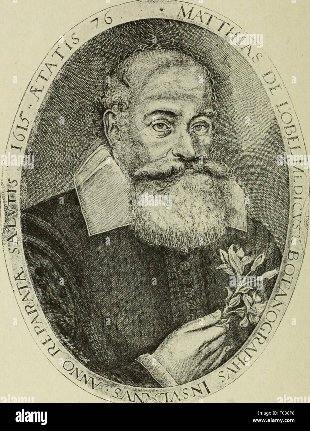 Early British botanists and their Stock Photo - Alamy