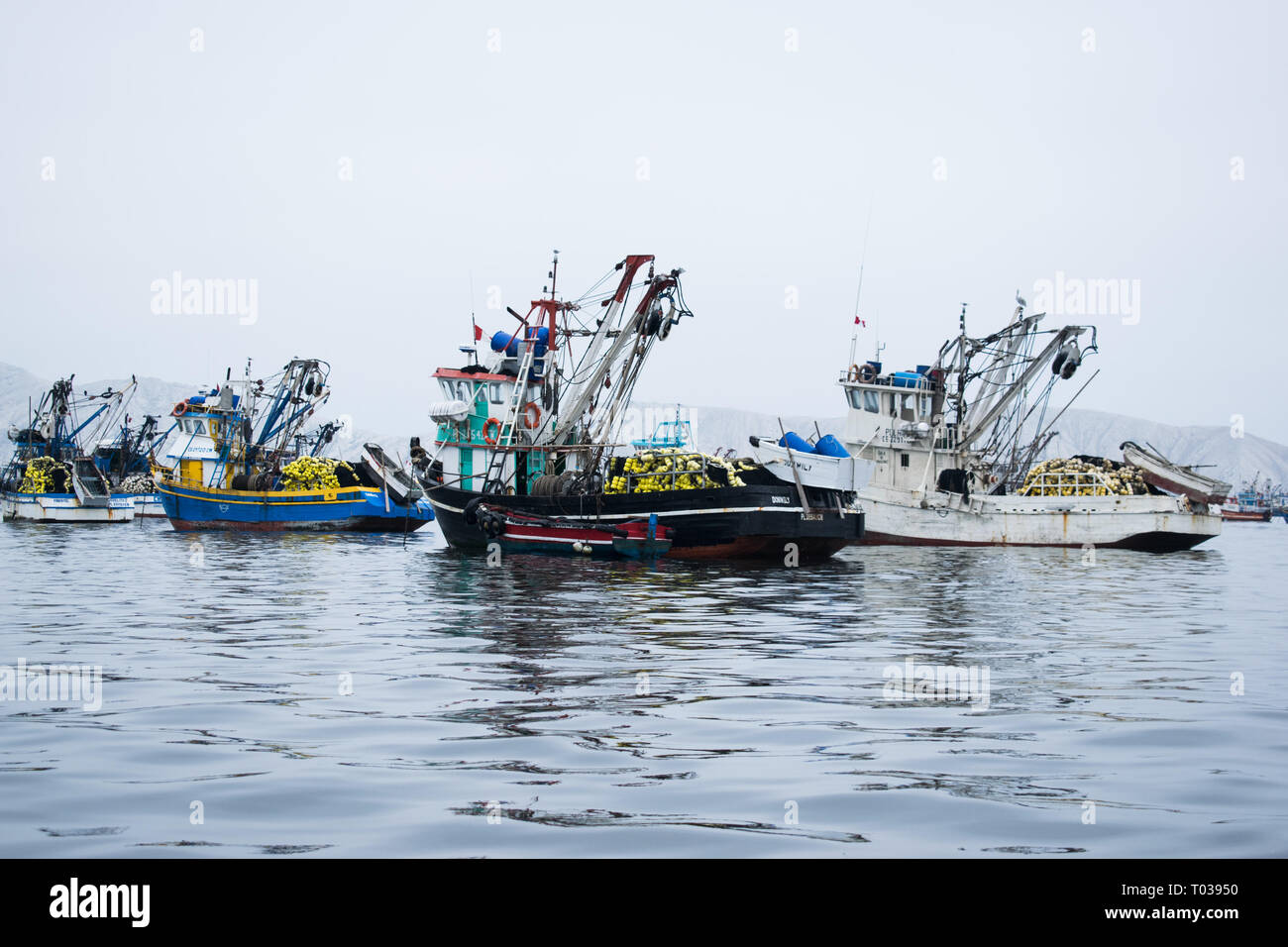 Fishing boats docked in Chimbote, Peru Stock Photo - Alamy