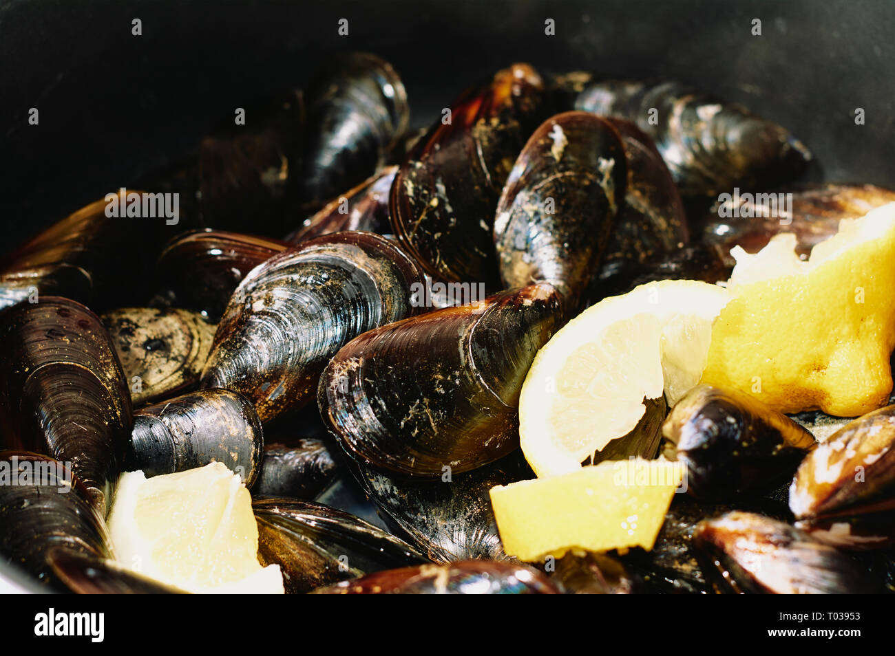 steamed mussels in a classic pot with some pieces of lemon Stock Photo ...