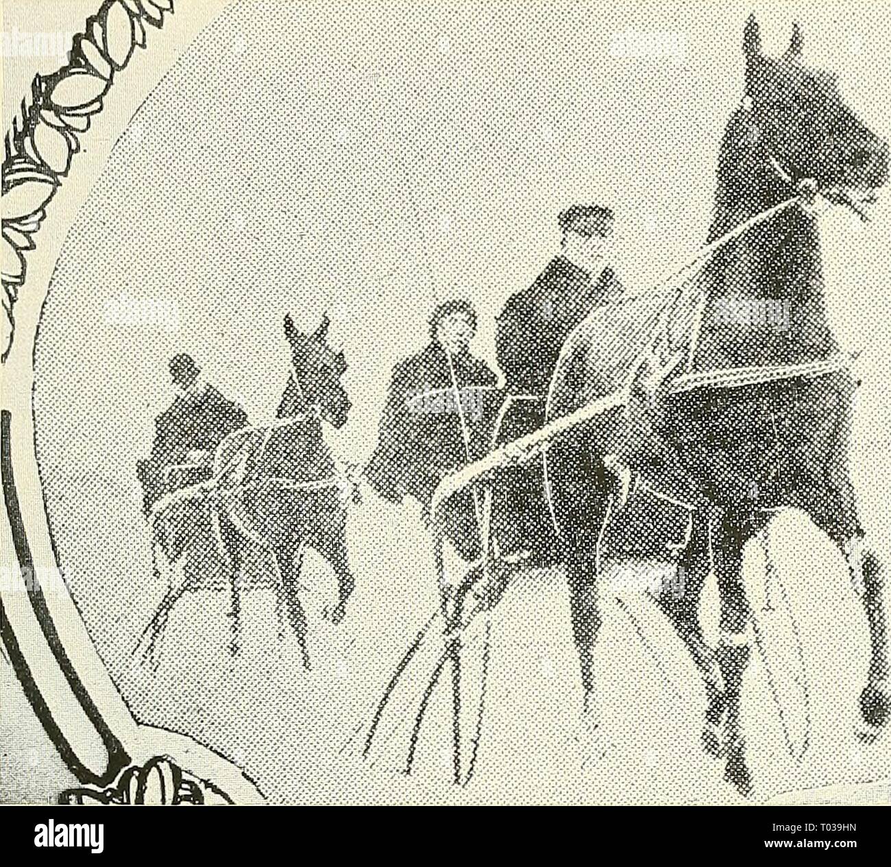 The driving clubs of greater Stock Photo - Alamy