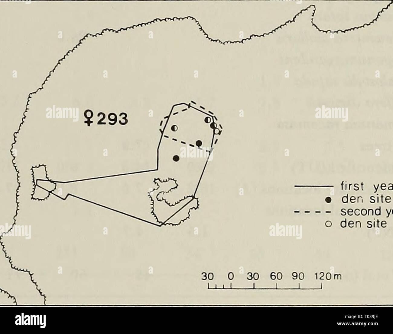 The Ecology of arboreal folivores Stock Photo - Alamy