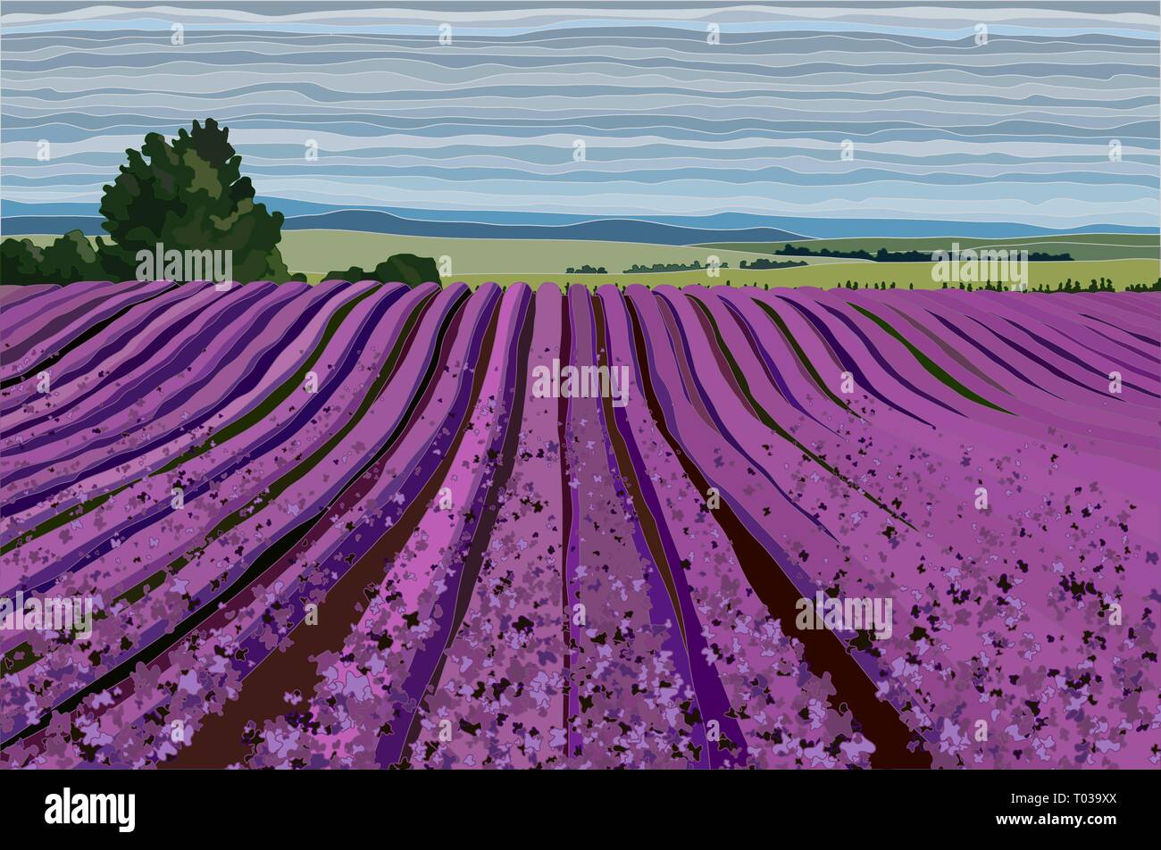 Lavender Field Illustration