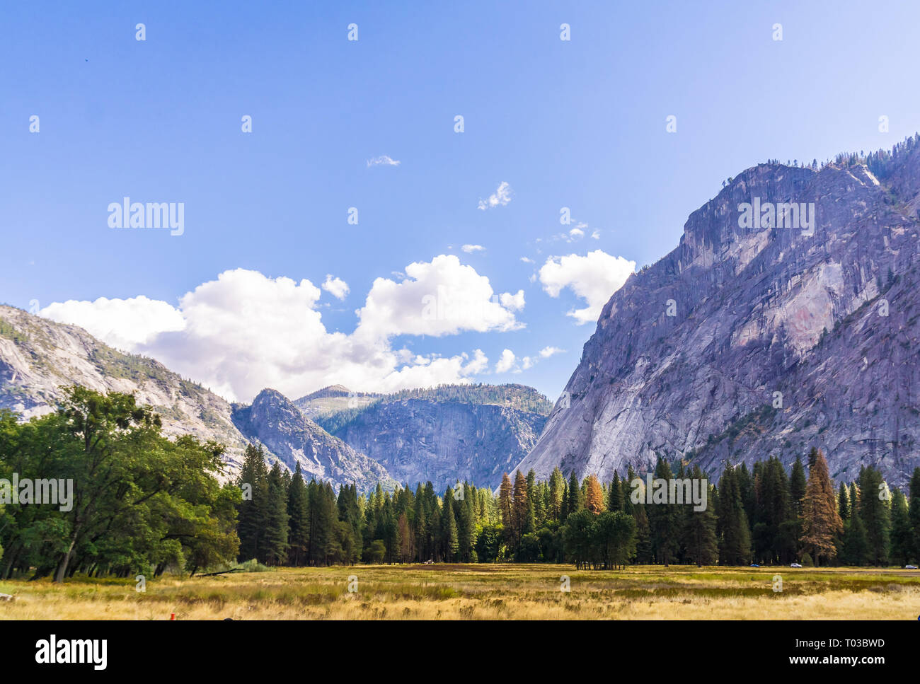 Yosemite landscapes hi-res stock photography and images - Alamy