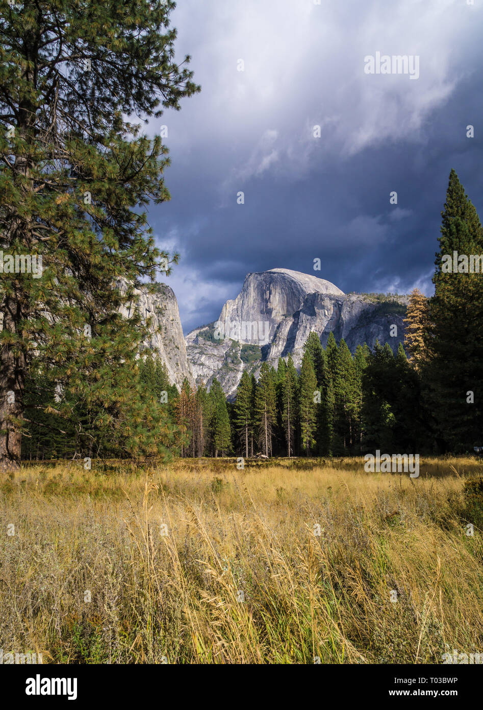 Yosemite landscapes hi-res stock photography and images - Alamy