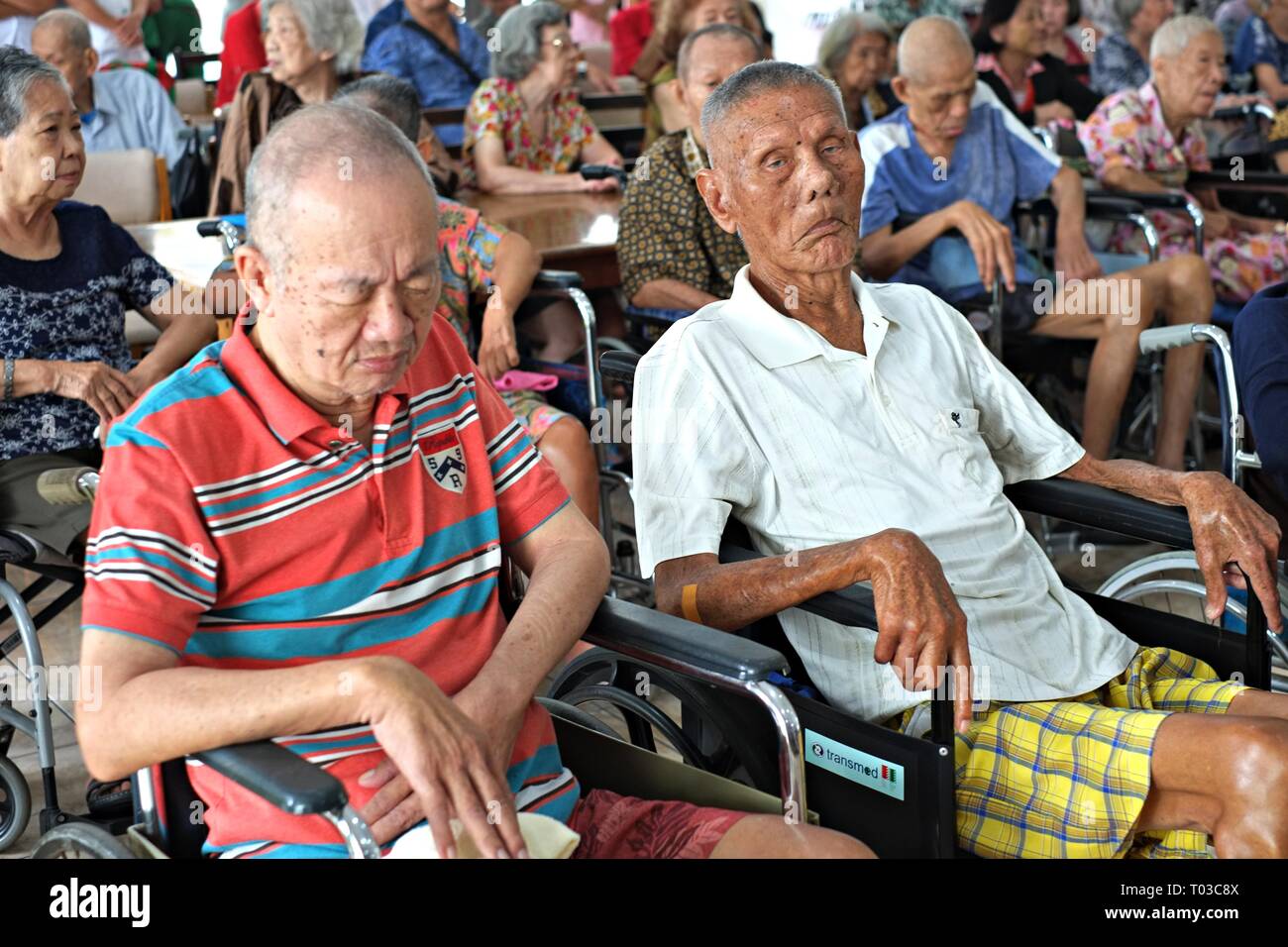 Geriatrics hi-res stock photography and images - Alamy