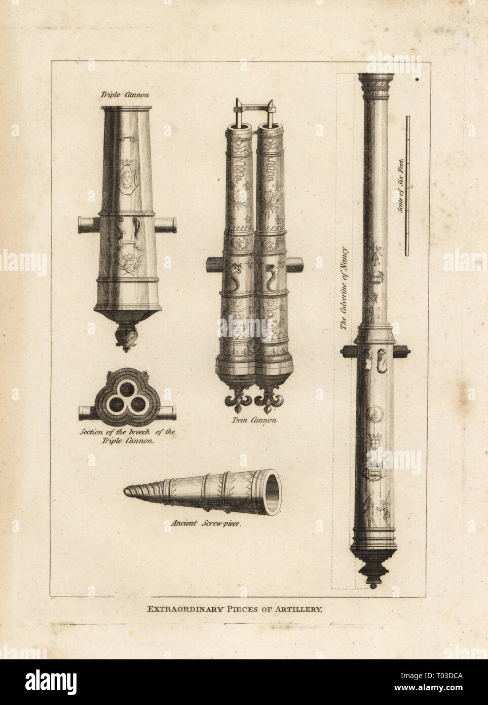 Extraordinary pieces of artillery: view and section of the culverine of ...