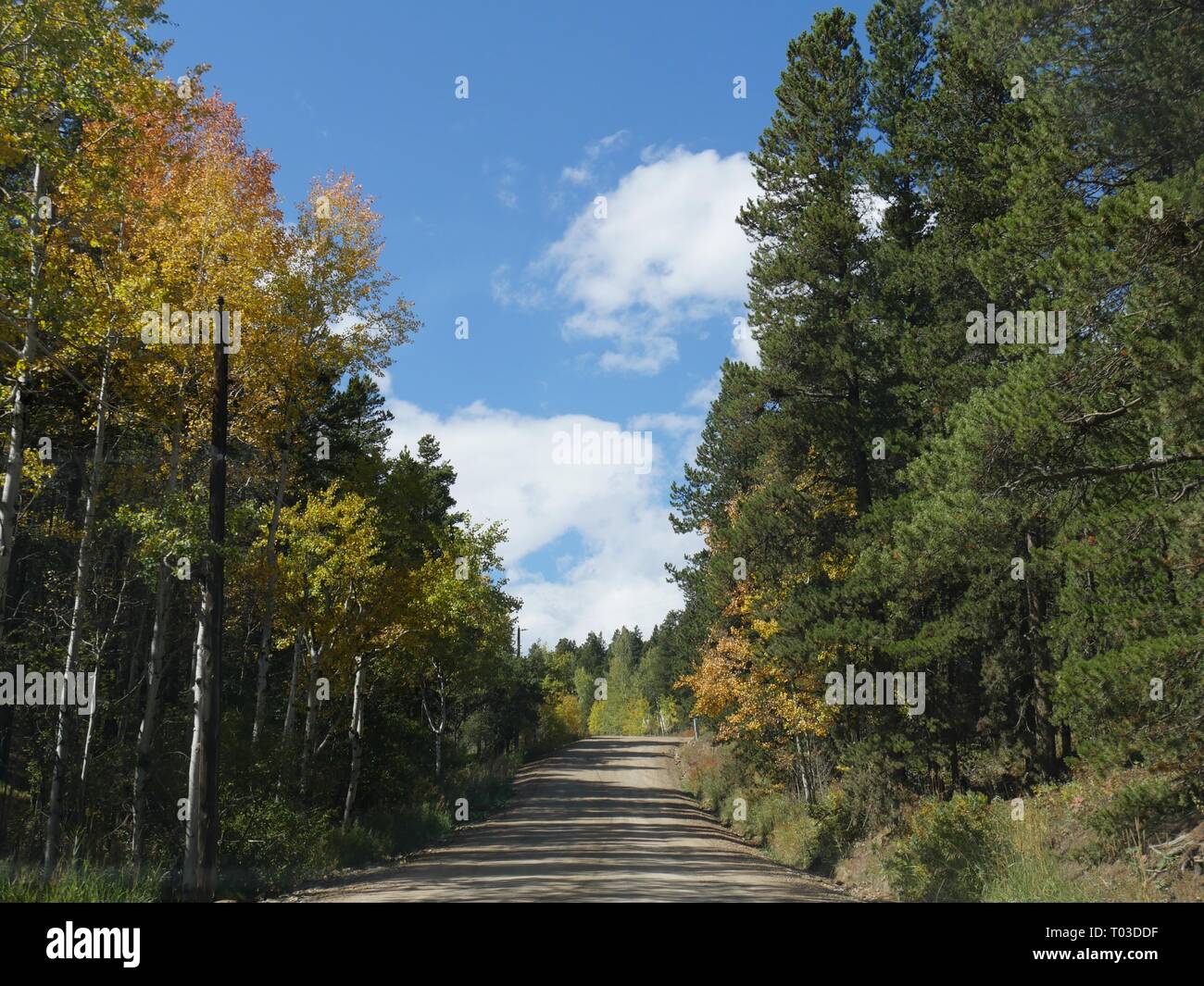 Golden gate canyon state parks hi-res stock photography and images - Alamy