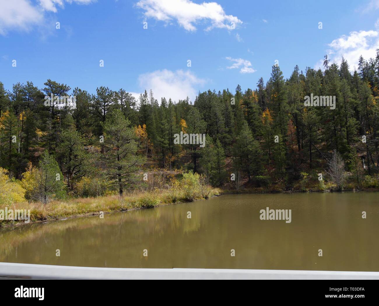 Peaceful pond with trees starting to change colors on a roadside in ...
